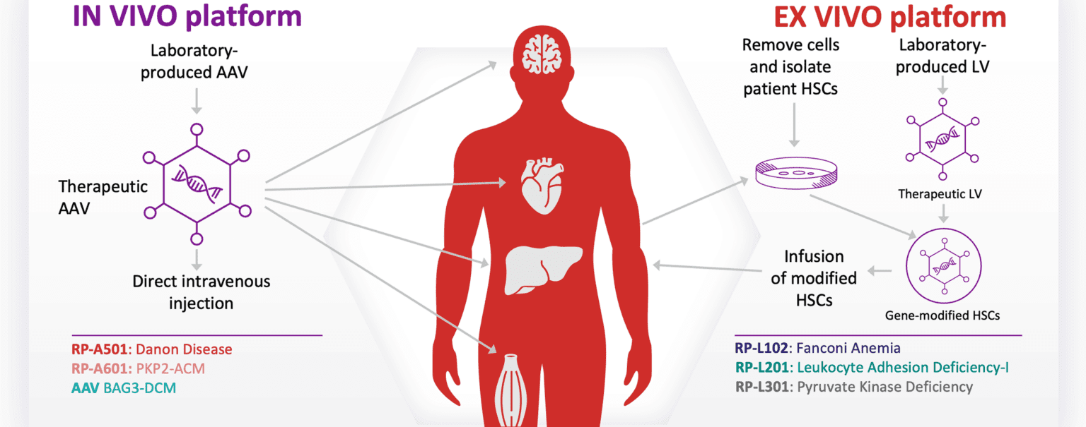 Our Science | Rocket Pharmaceuticals